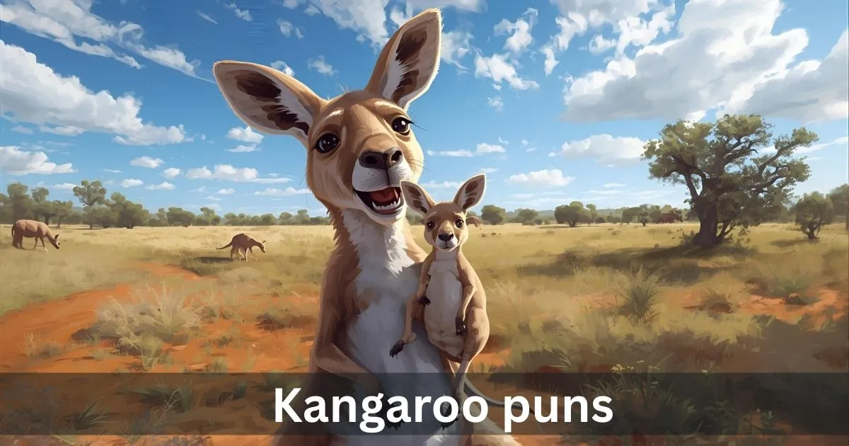 160 + Kangaroo Puns That Will Hop Right Into Your Heart